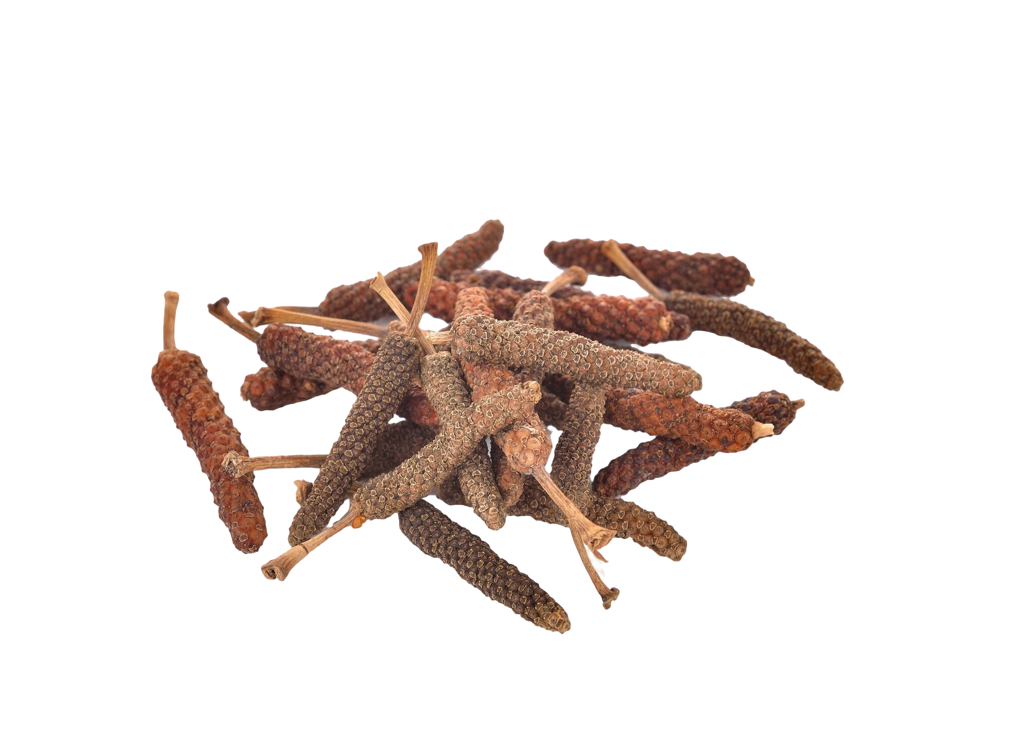 Improve Gut Health Naturally, Digestion Problem Solution at Mool Health