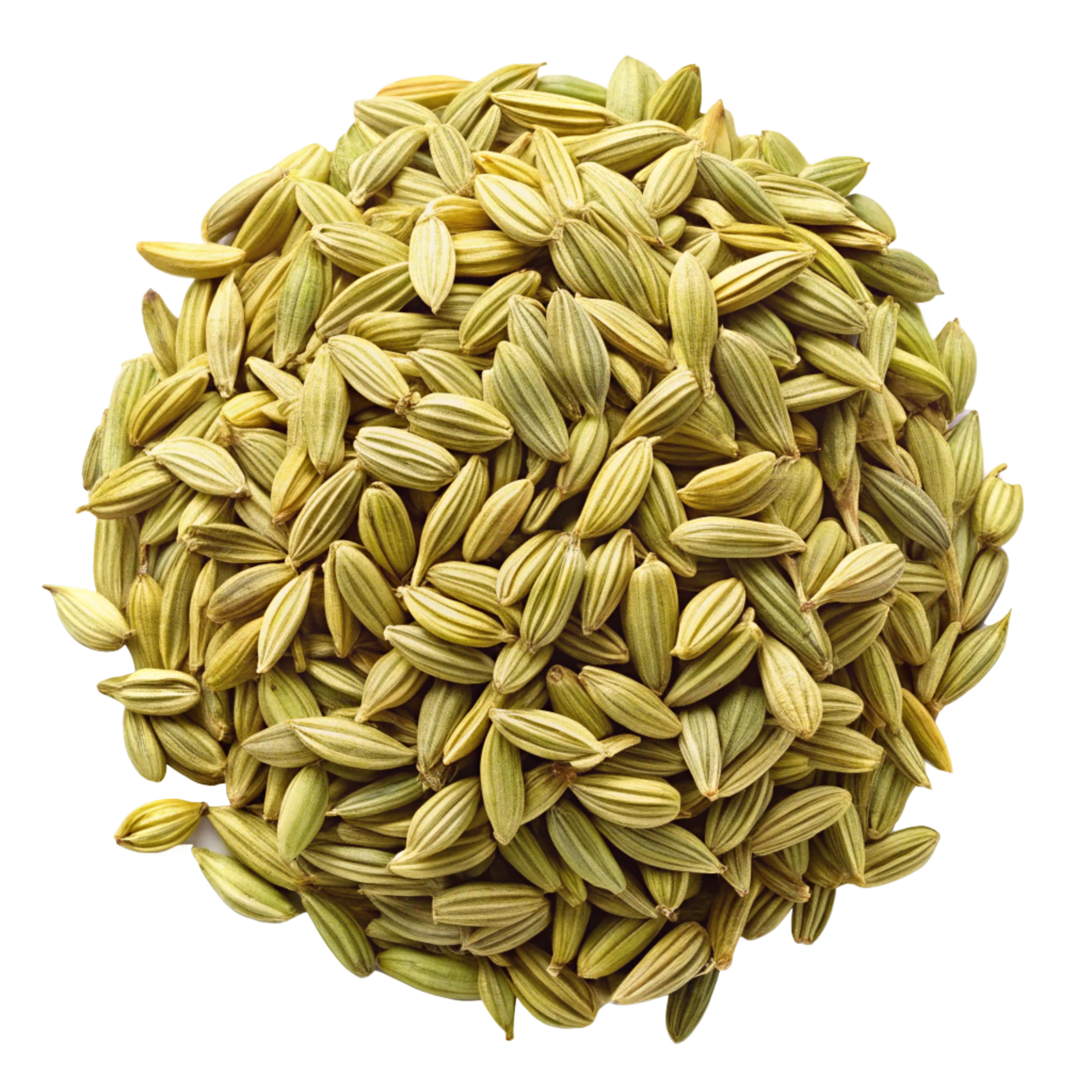 Improve Gut Health Naturally, Digestion Problem Solution at Mool Health