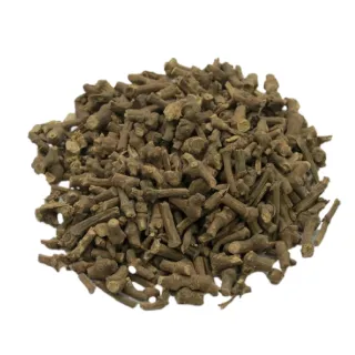Improve Gut Health Naturally, Digestion Problem Solution at Mool Health